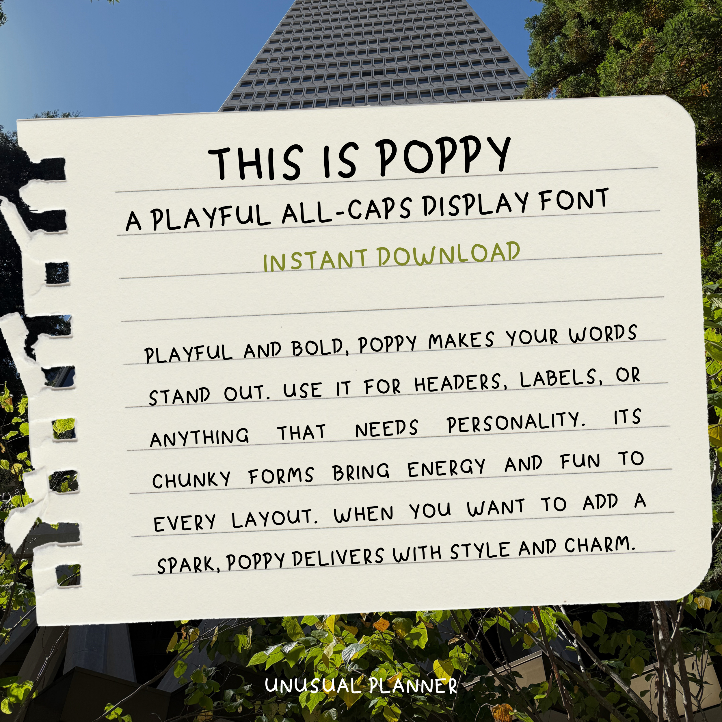 Poppy Handwritten Font – Unusual Planner